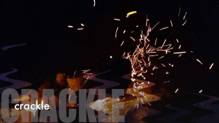 Vidtionary: A Video Dictionary – See the meaning