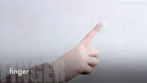 F – Vidtionary: A Video Dictionary